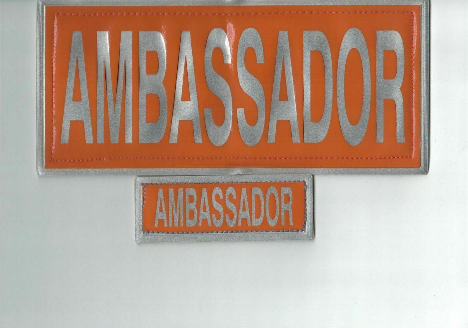 Ambassador Encapsulated Reflective Badge Set Hook and Loop — One Stop ...